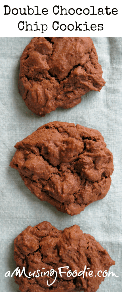 Double Chocolate Chip Cookies - Amusing Foodie